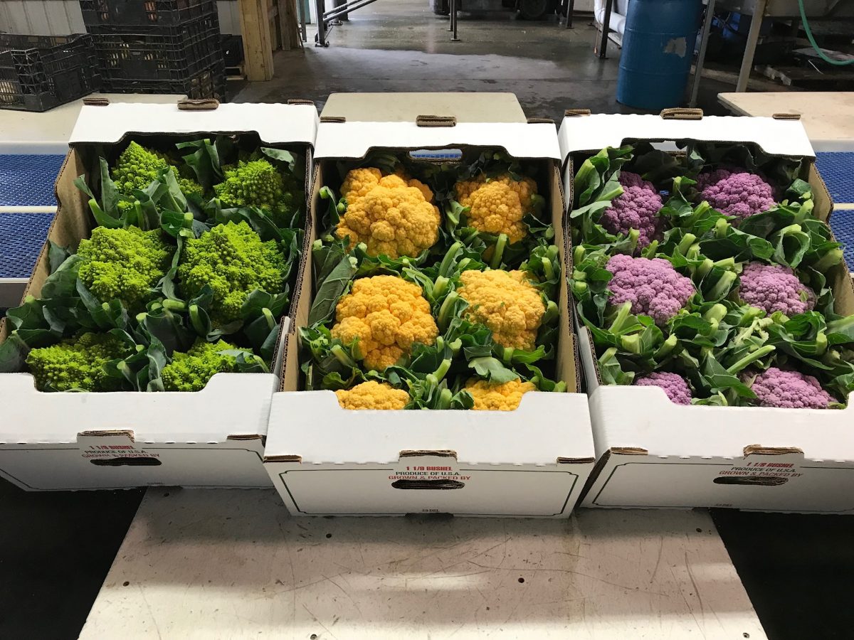 D'OTTAVIO FARMS - Farmlind Produce