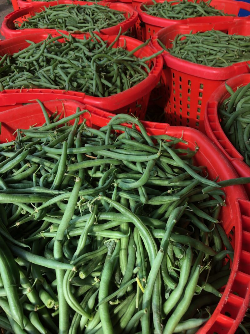 Farmlind Roots - Farmlind Produce