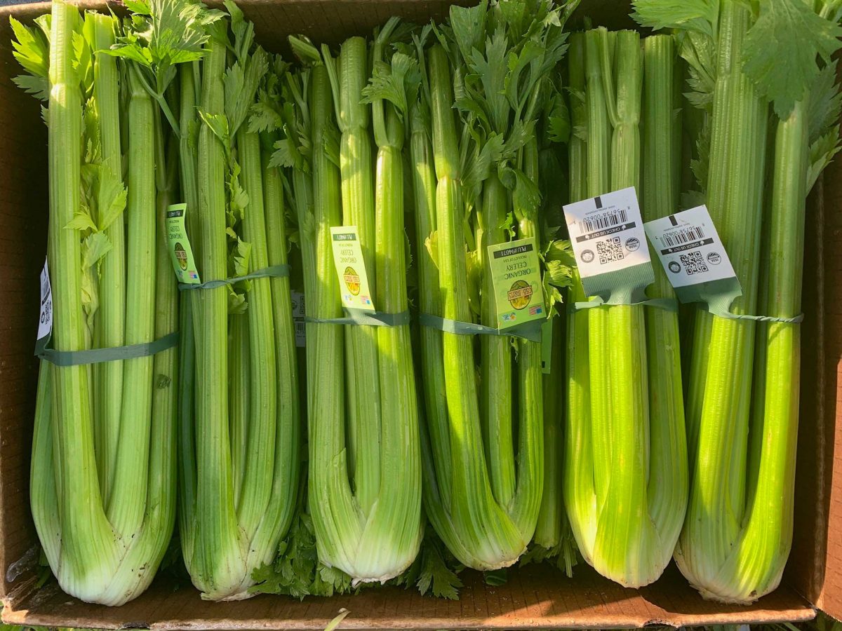 C & B FARMS - Farmlind Produce