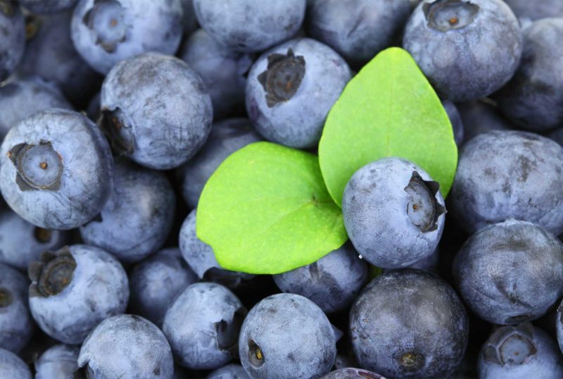 BOTTOMLEY FARMS - Farmlind Produce