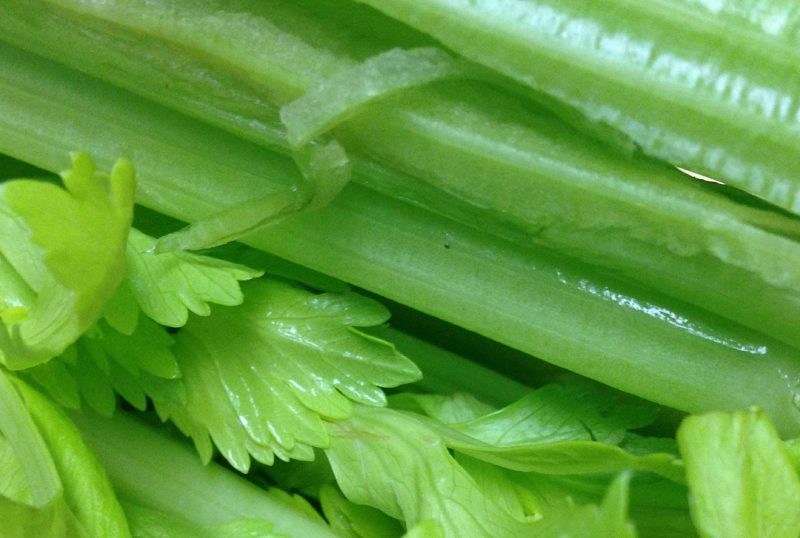BOTTOMLEY FARMS - Farmlind Produce
